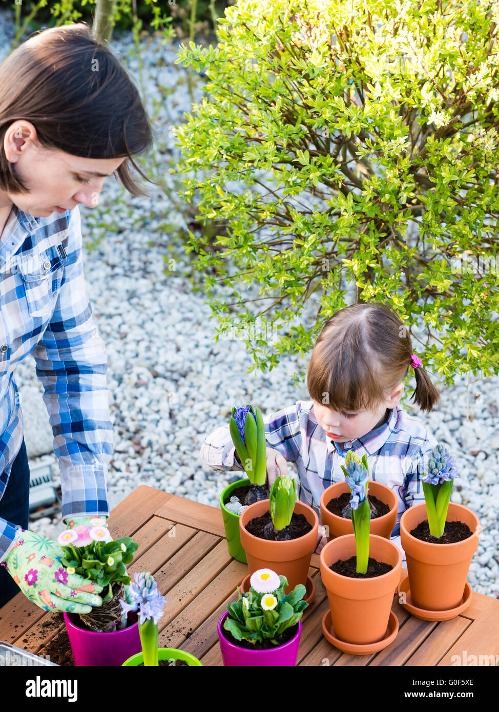 Girl planting flower bulbs Stock Photo - Alamy