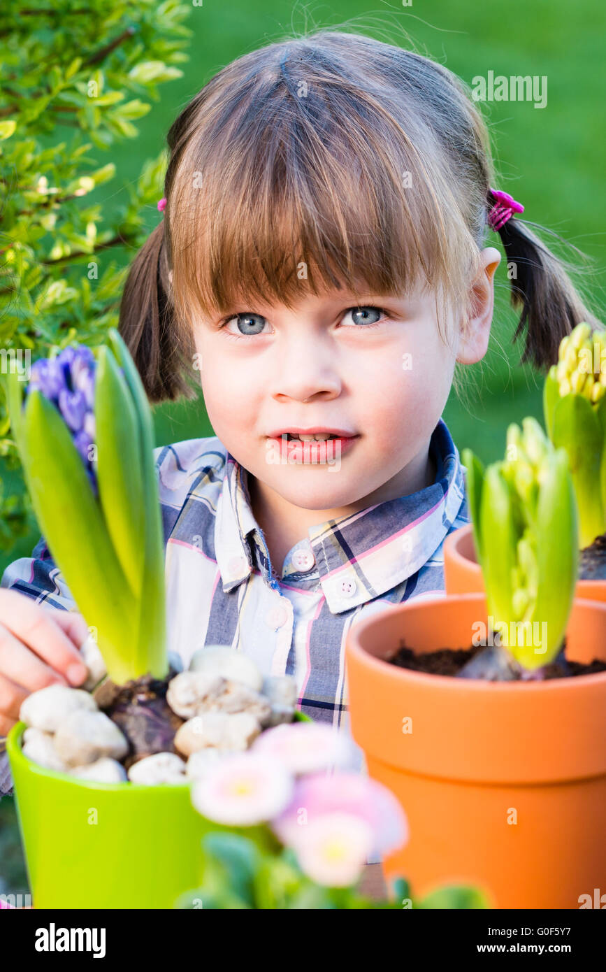 Narcissus bulb flowers roots hi-res stock photography and images - Alamy