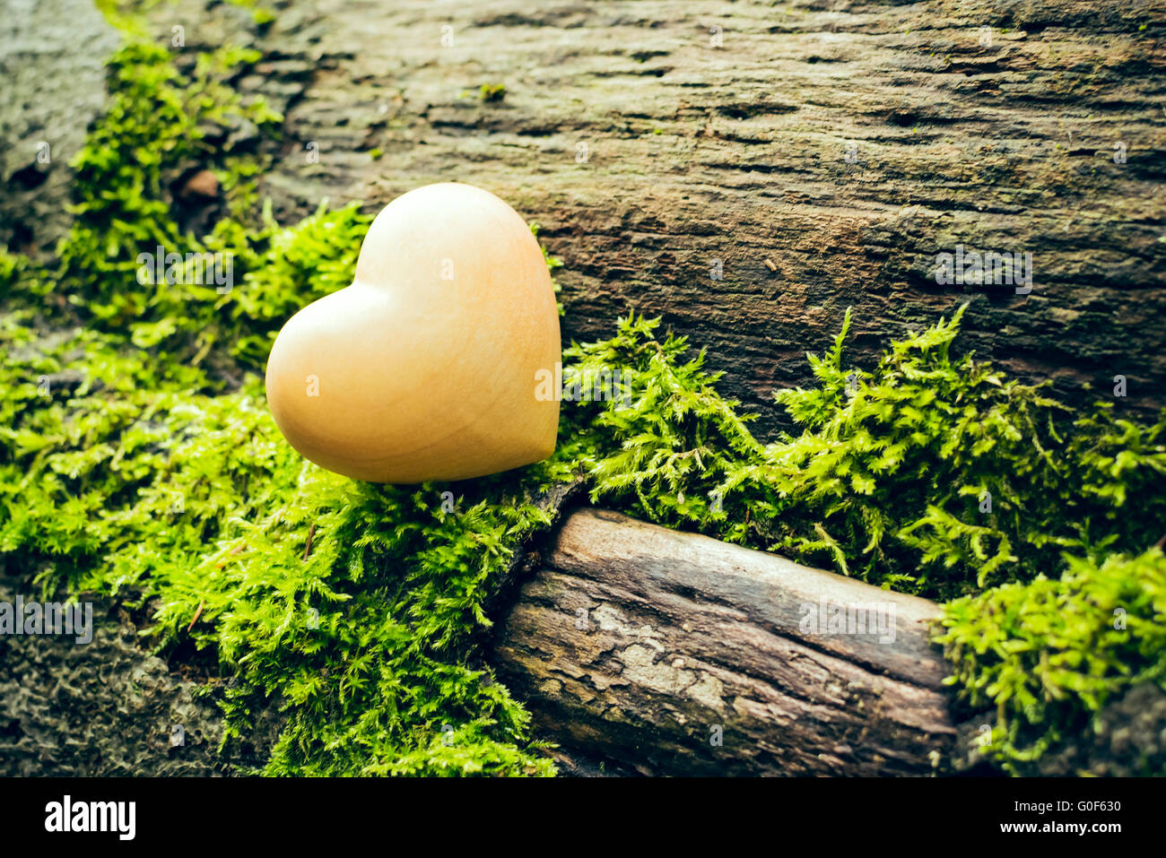 Love lush hi-res stock photography and images - Alamy