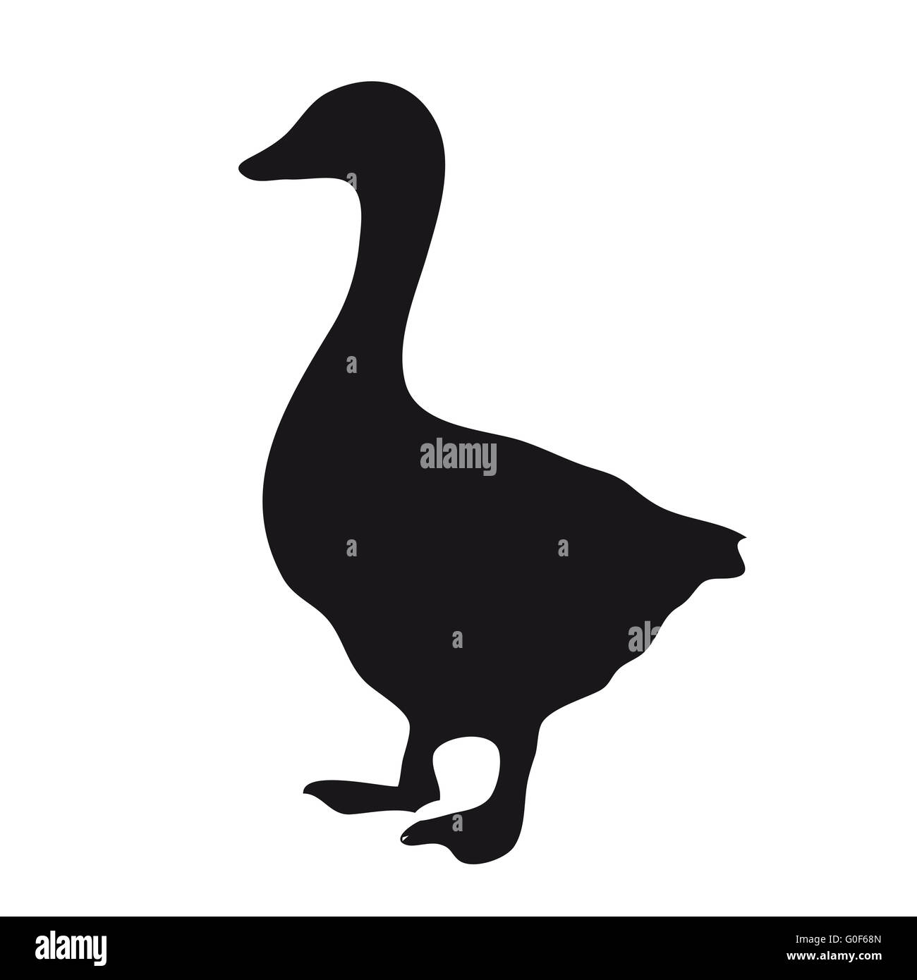 One goose Cut Out Stock Images & Pictures - Alamy