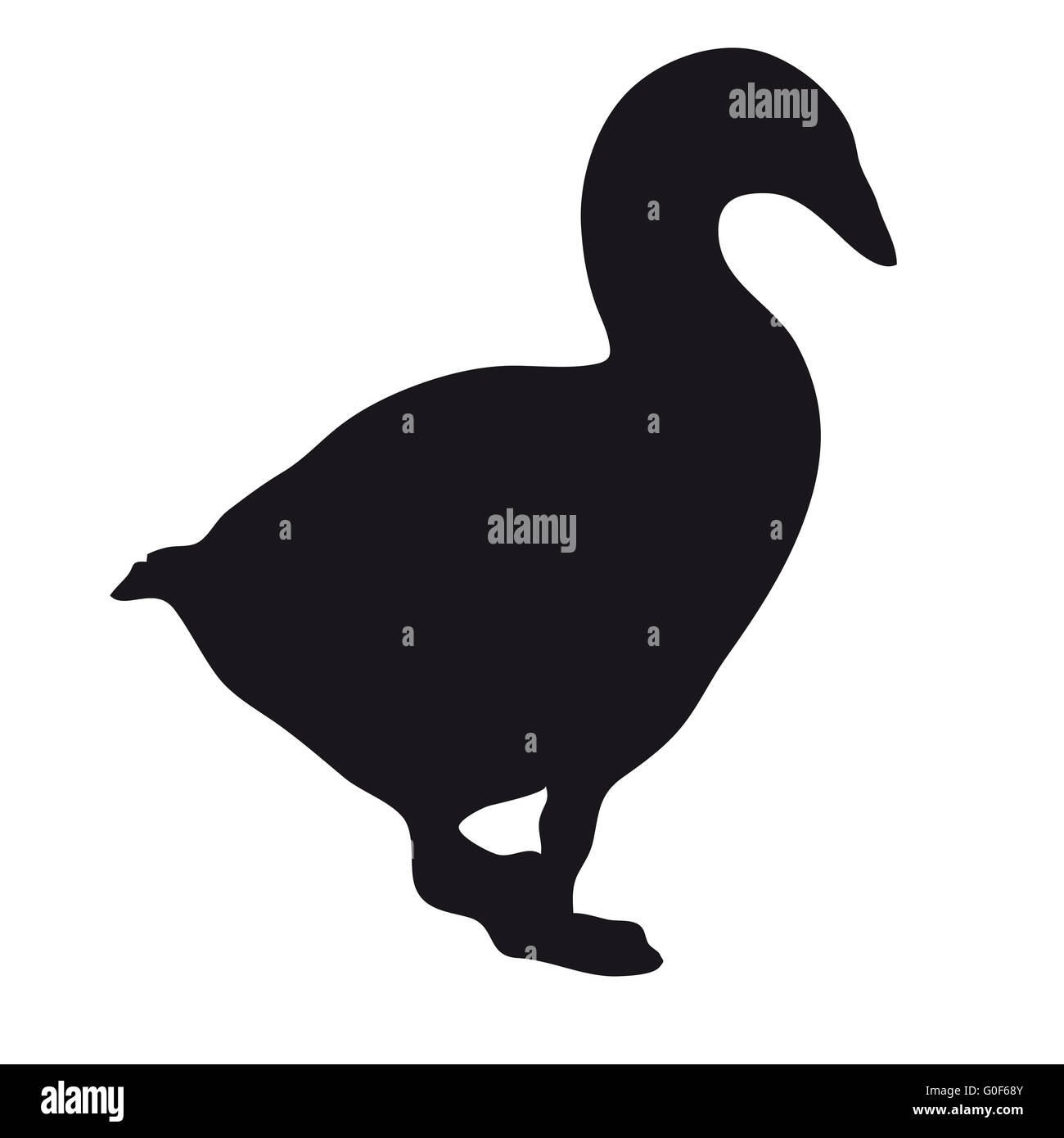 Large game bird Cut Out Stock Images & Pictures - Alamy