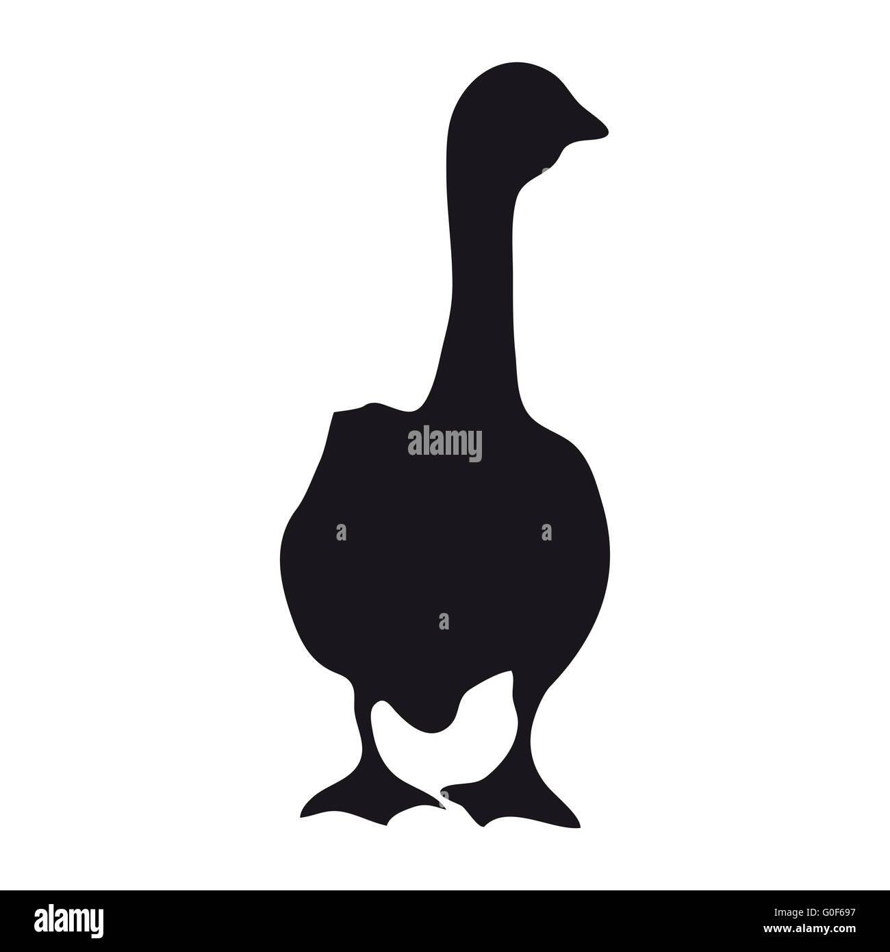 Long neck goose Cut Out Stock Images & Pictures - Alamy
