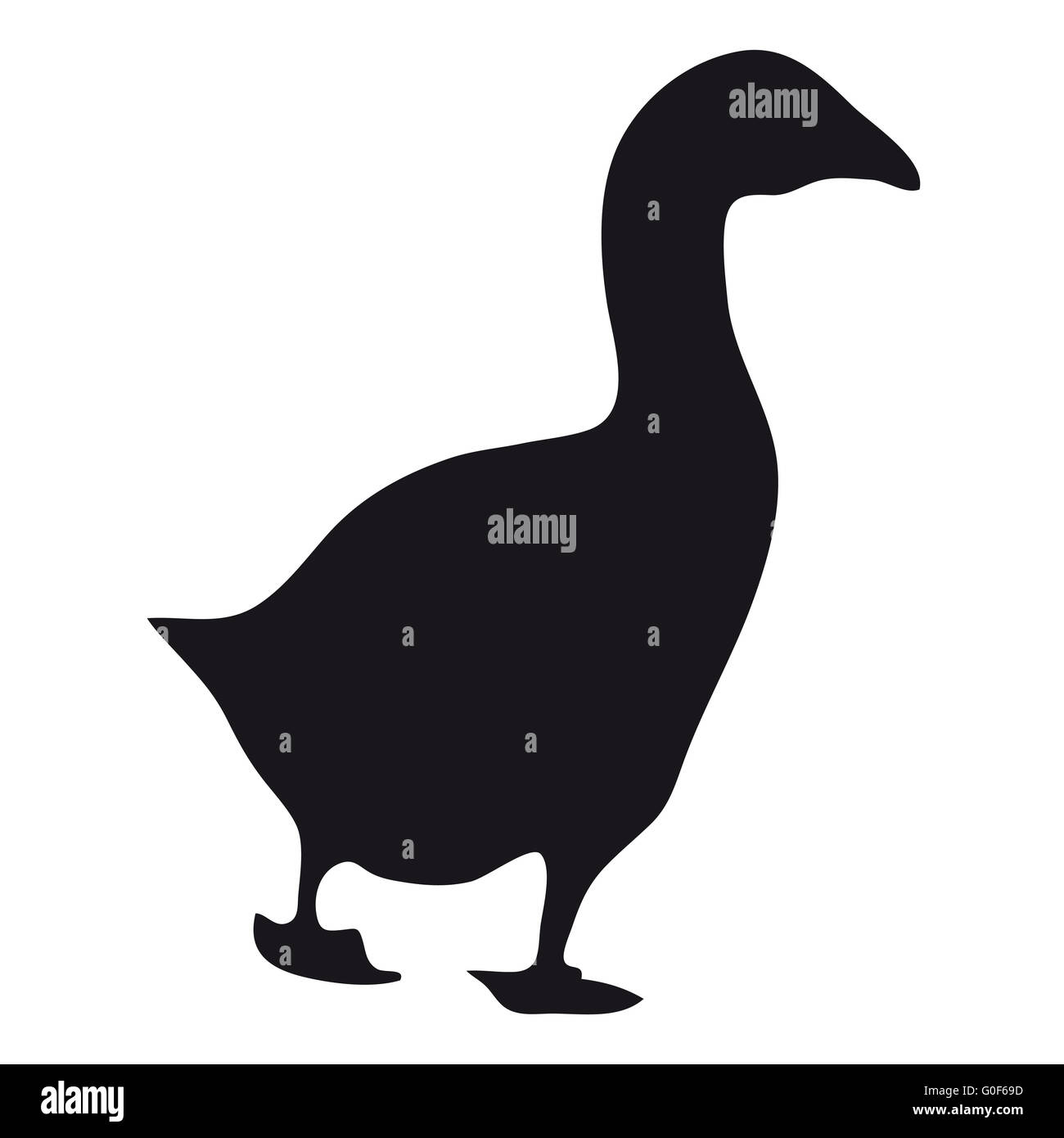 Long neck goose Cut Out Stock Images & Pictures - Alamy