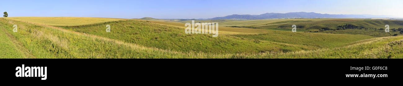 Beautiful panorama agricultural fields in August Stock Photo - Alamy