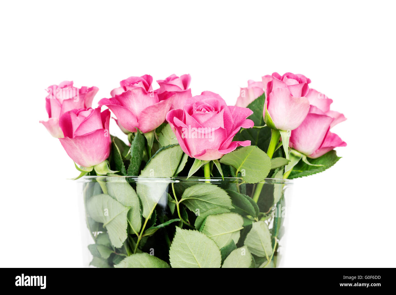 pink roses in vase isolated on white background Stock Photo - Alamy