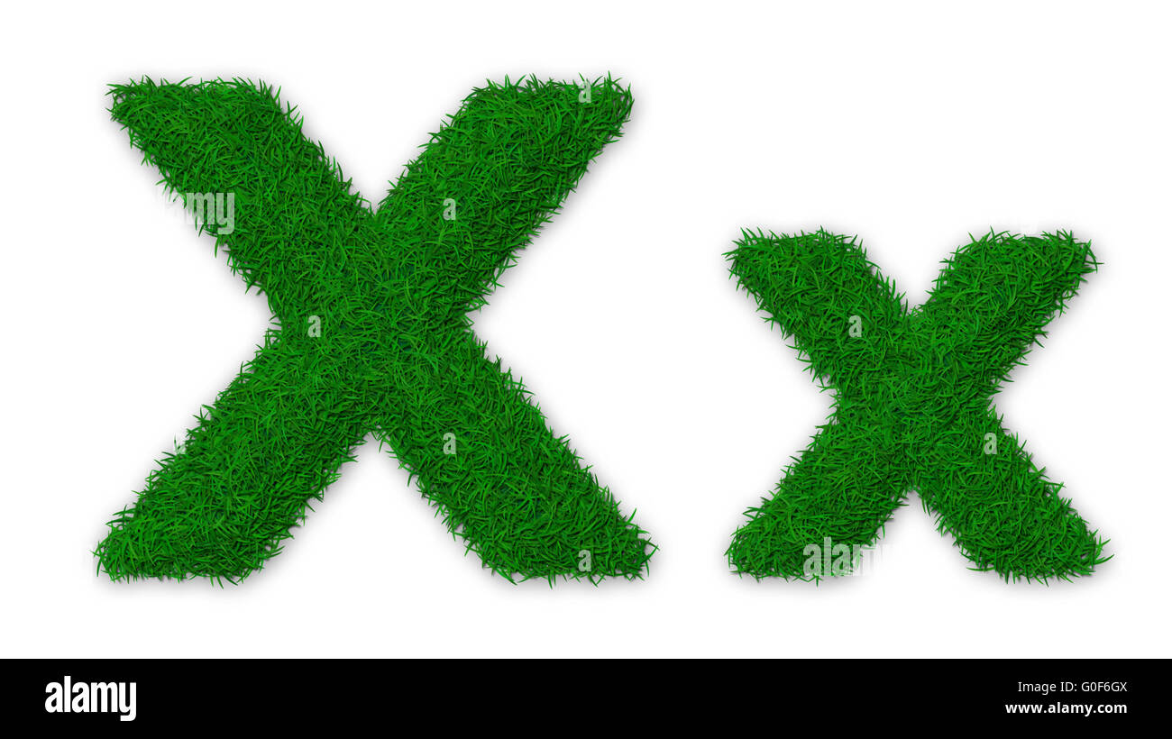 Illustration of capital and lowercase X letter made of grass Stock ...