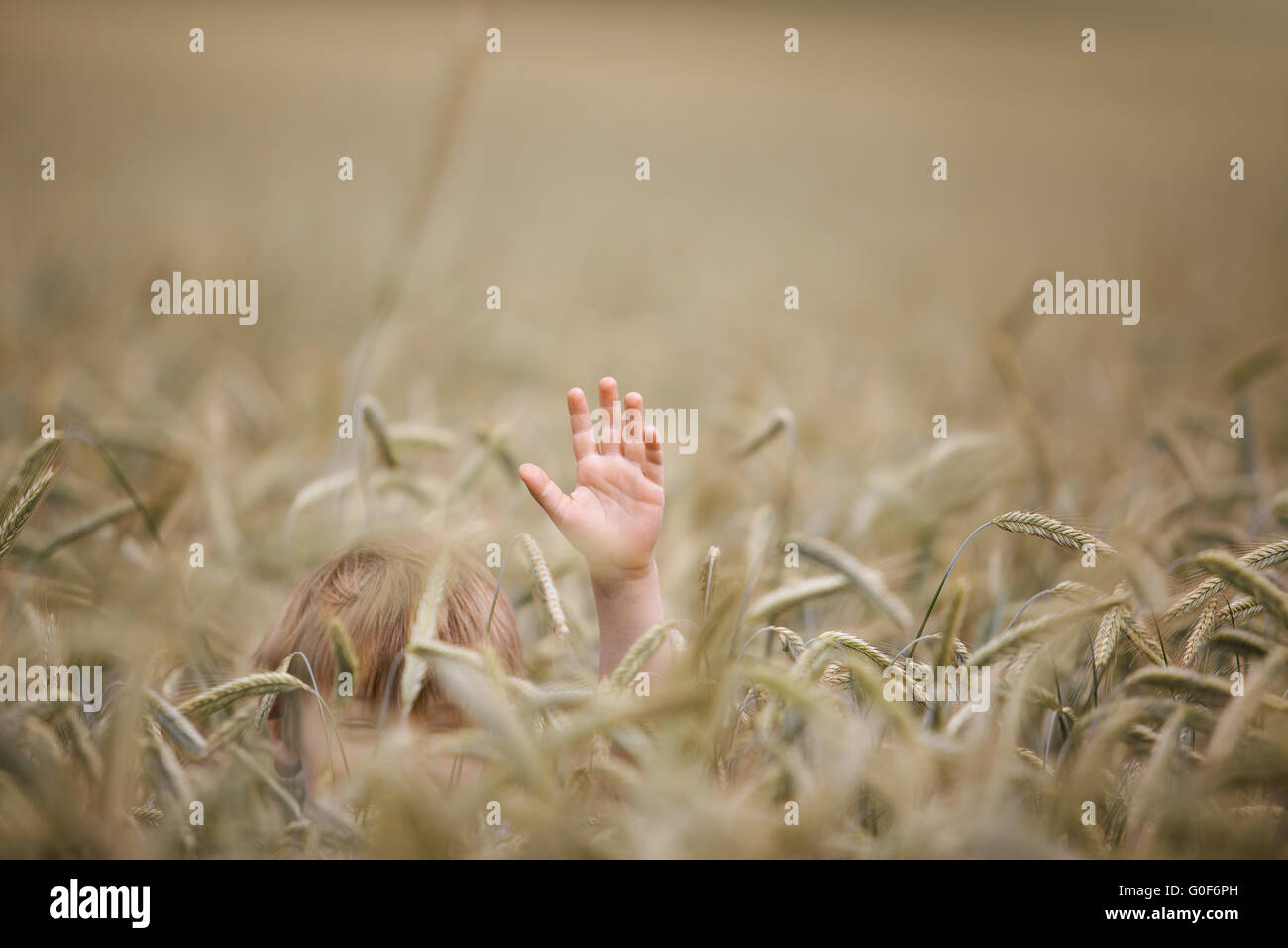 Play hiding hi-res stock photography and images - Alamy