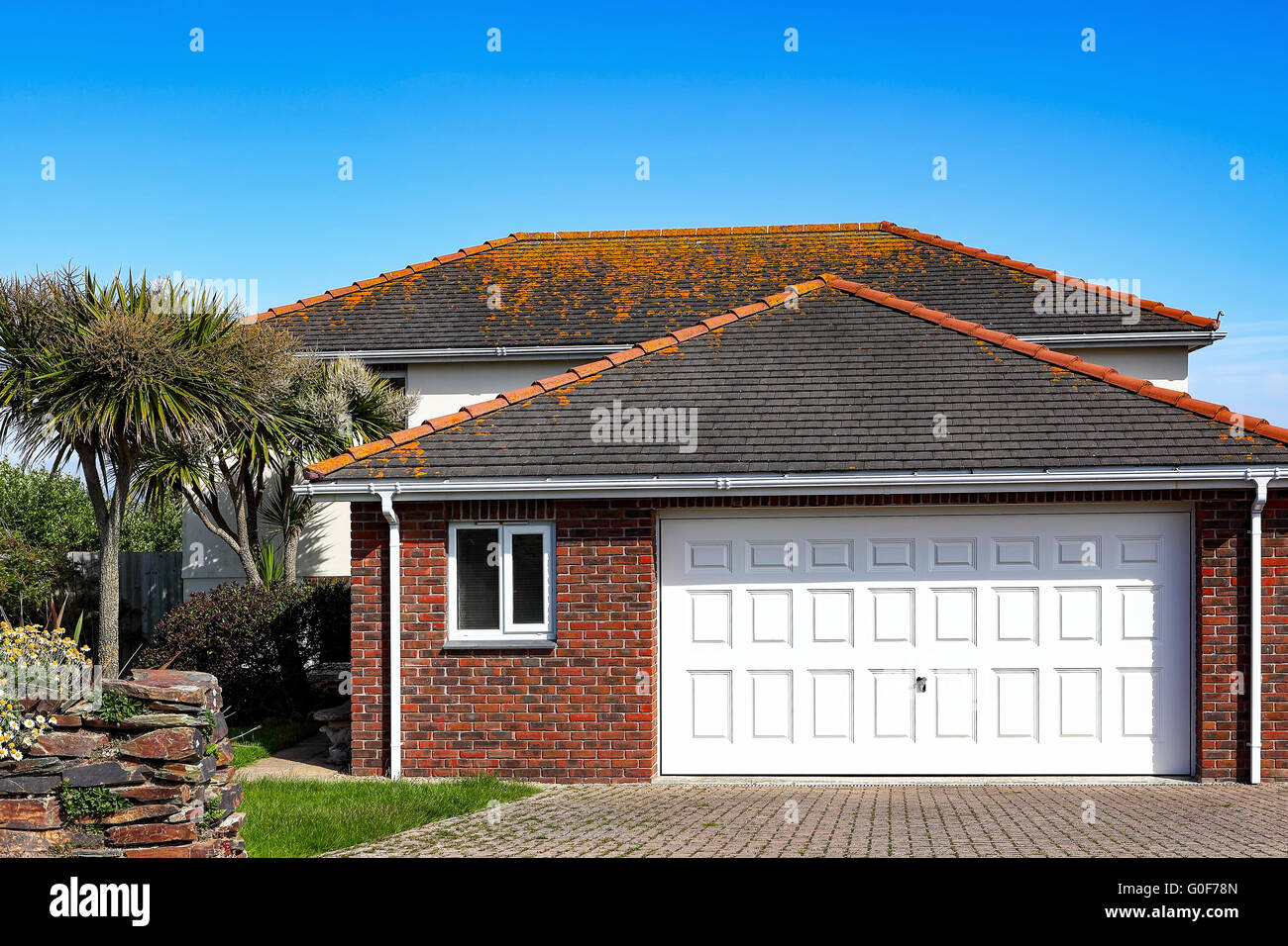 Real domestic hi-res stock photography and images - Alamy