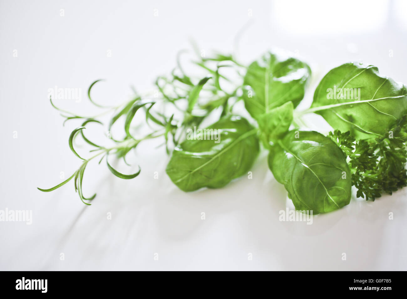 Herb with rosemary, basil parsley on the white ba Stock Photo - Alamy