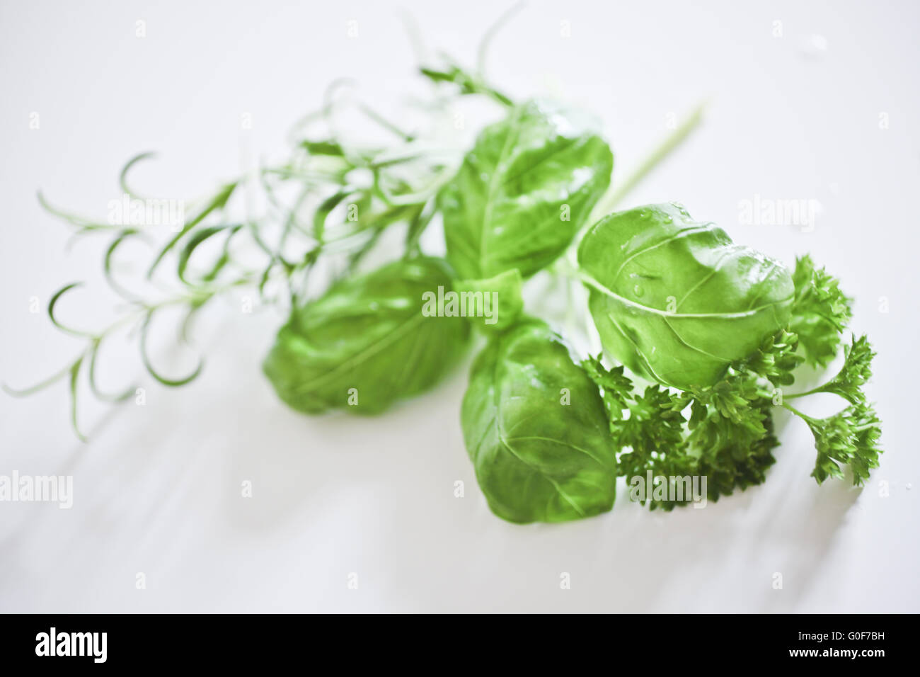 Herb with rosemary, basil parsley on the white ba Stock Photo - Alamy