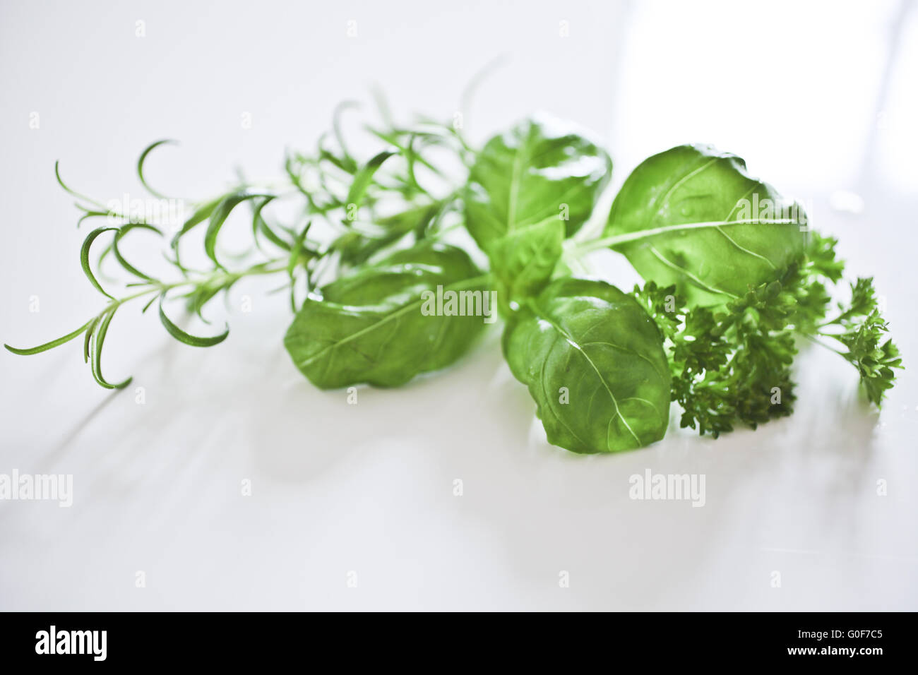 Herb with rosemary, basil & parsley Stock Photo - Alamy