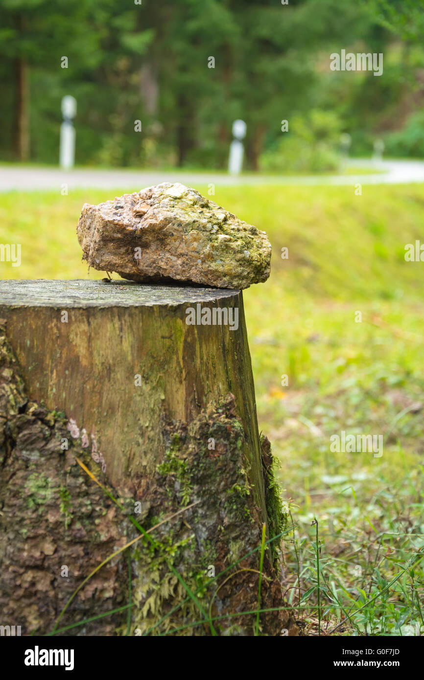 Stone on stump Stock Photo - Alamy