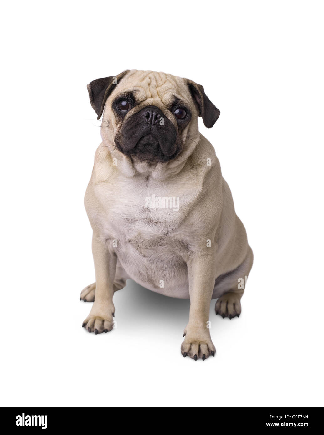 Funny gaze Cut Out Stock Images & Pictures - Alamy