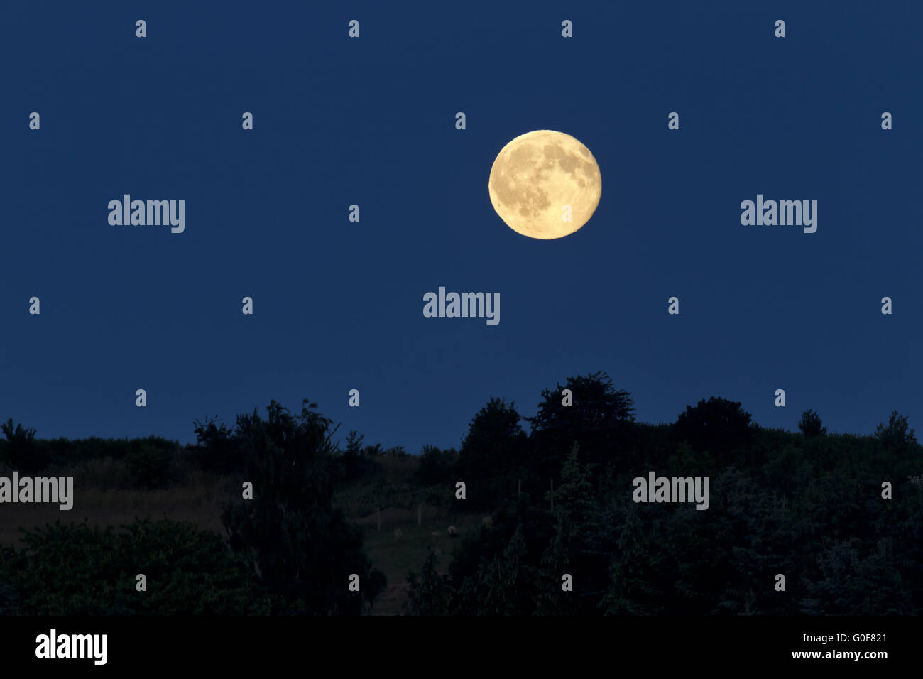 Moon is up Stock Photo - Alamy