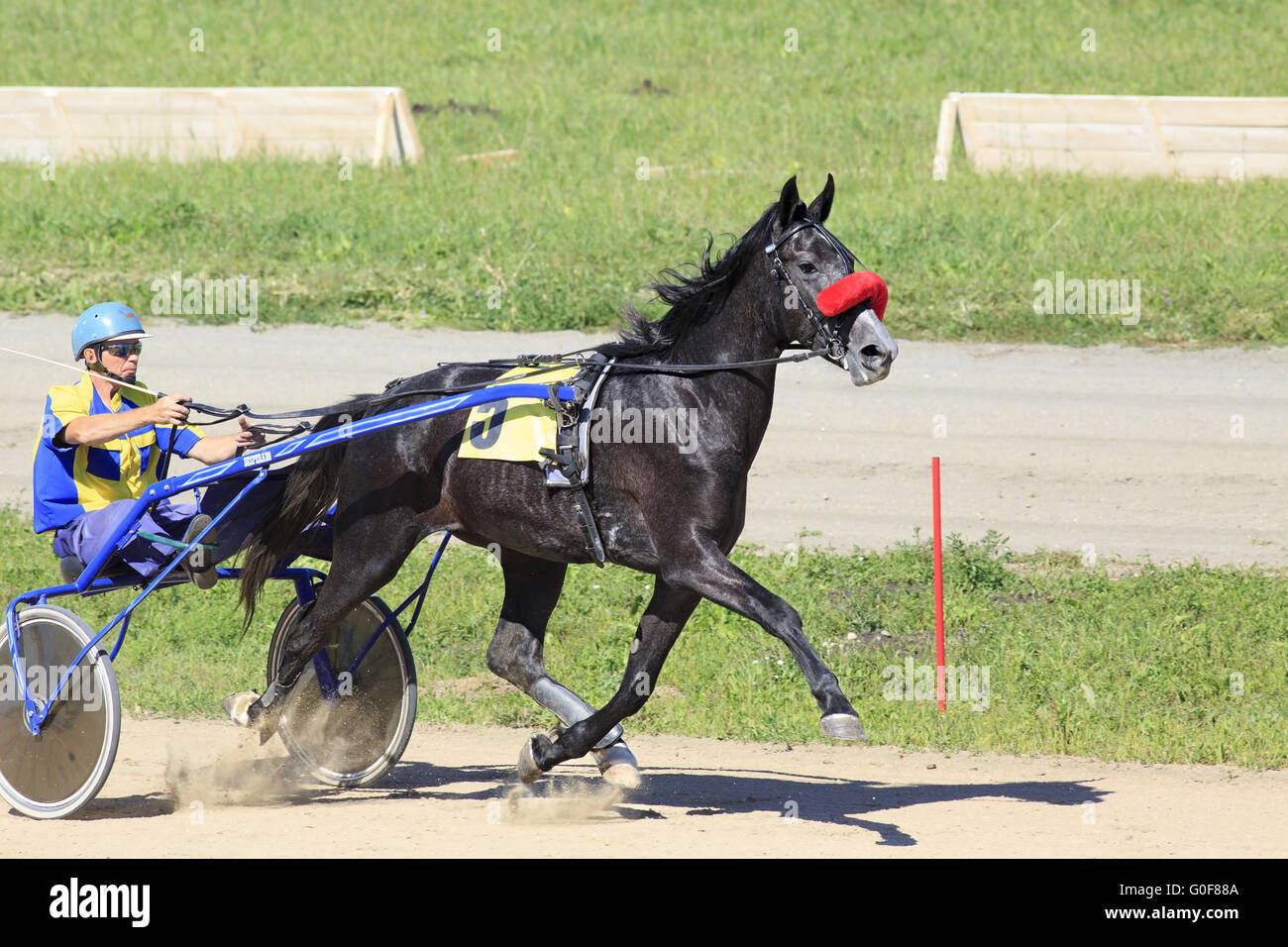 Harness trotting race racing driver sulky hi-res stock photography and ...