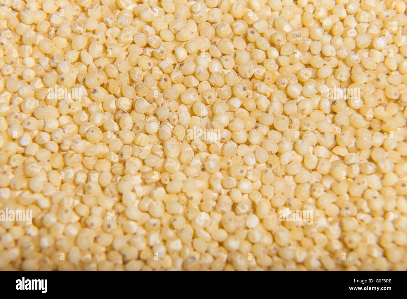 Uncooked millet cereal closeup macro Stock Photo - Alamy