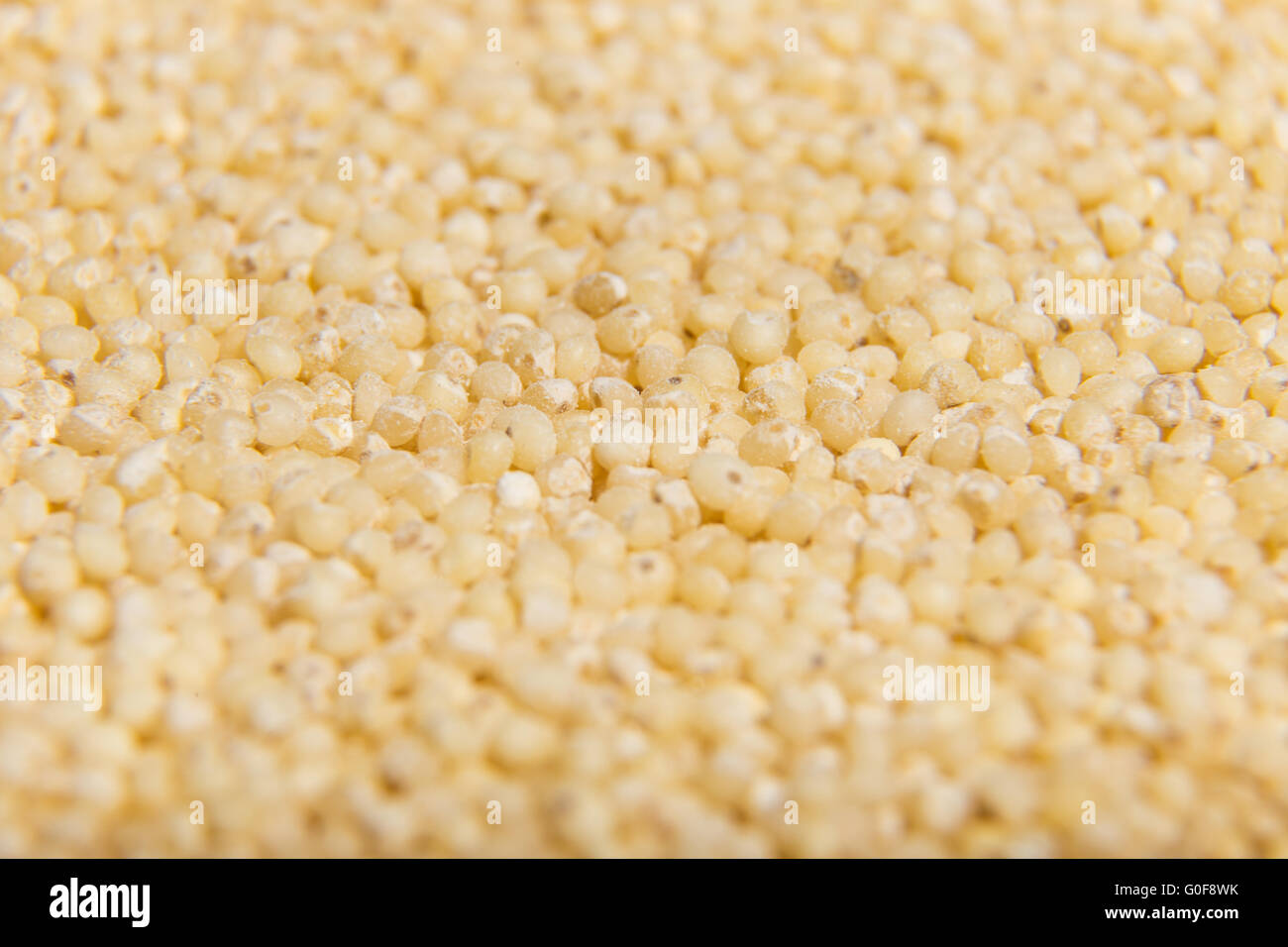 Uncooked millet cereal closeup macro Stock Photo - Alamy