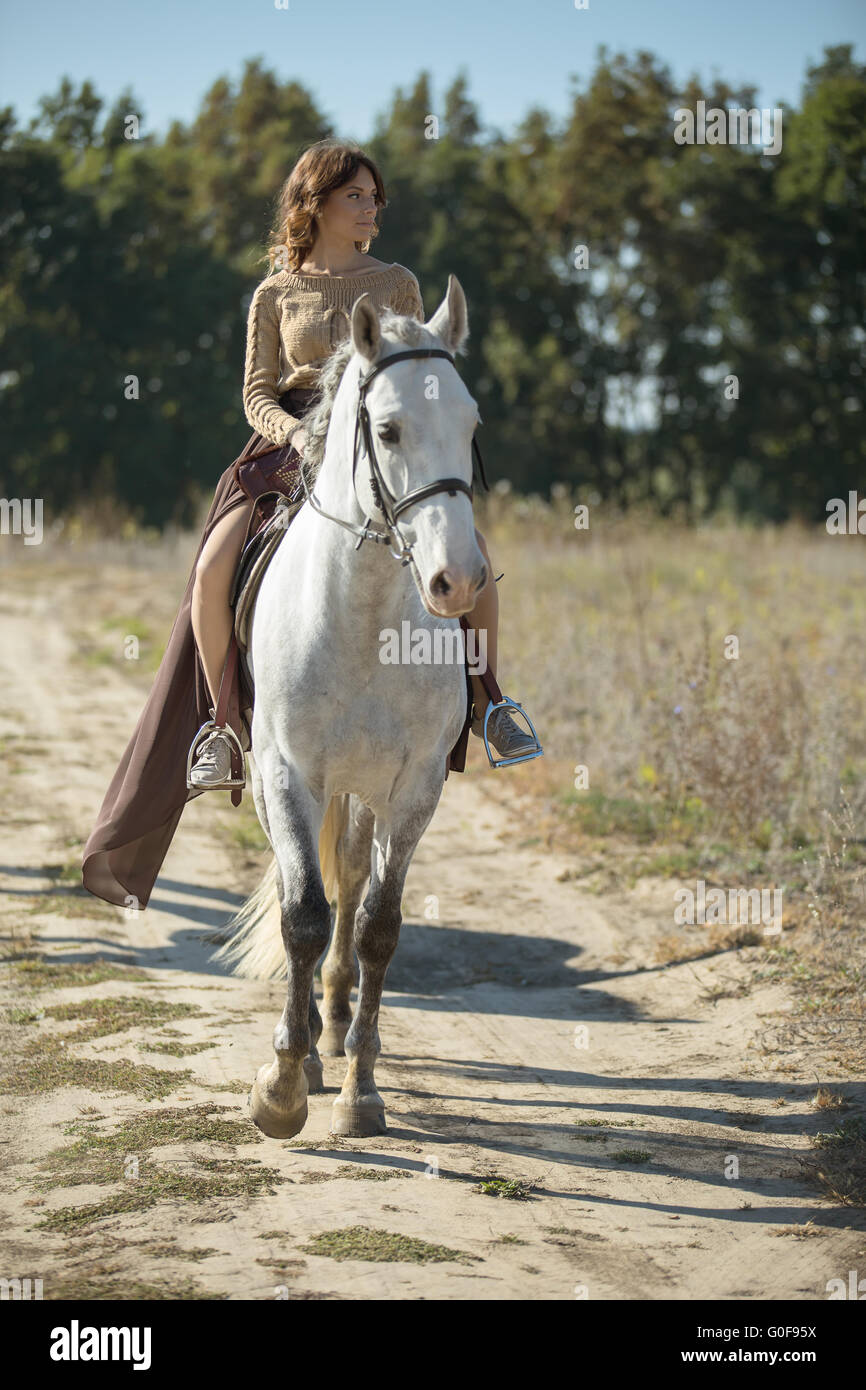 Beautiful girl riding on the white horse in a field Stock Photo - Alamy