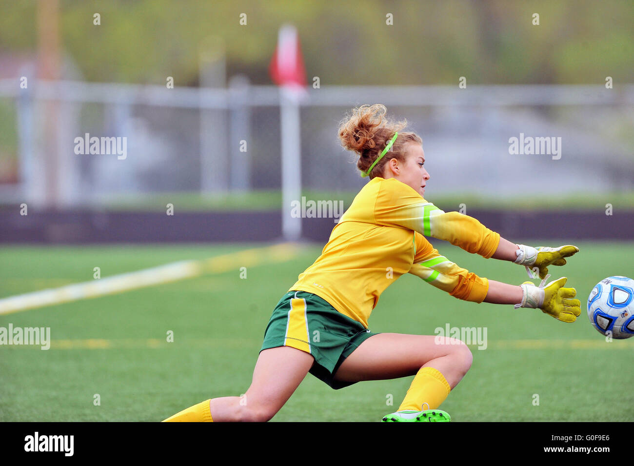 Diving competition girls hi-res stock photography and images - Alamy