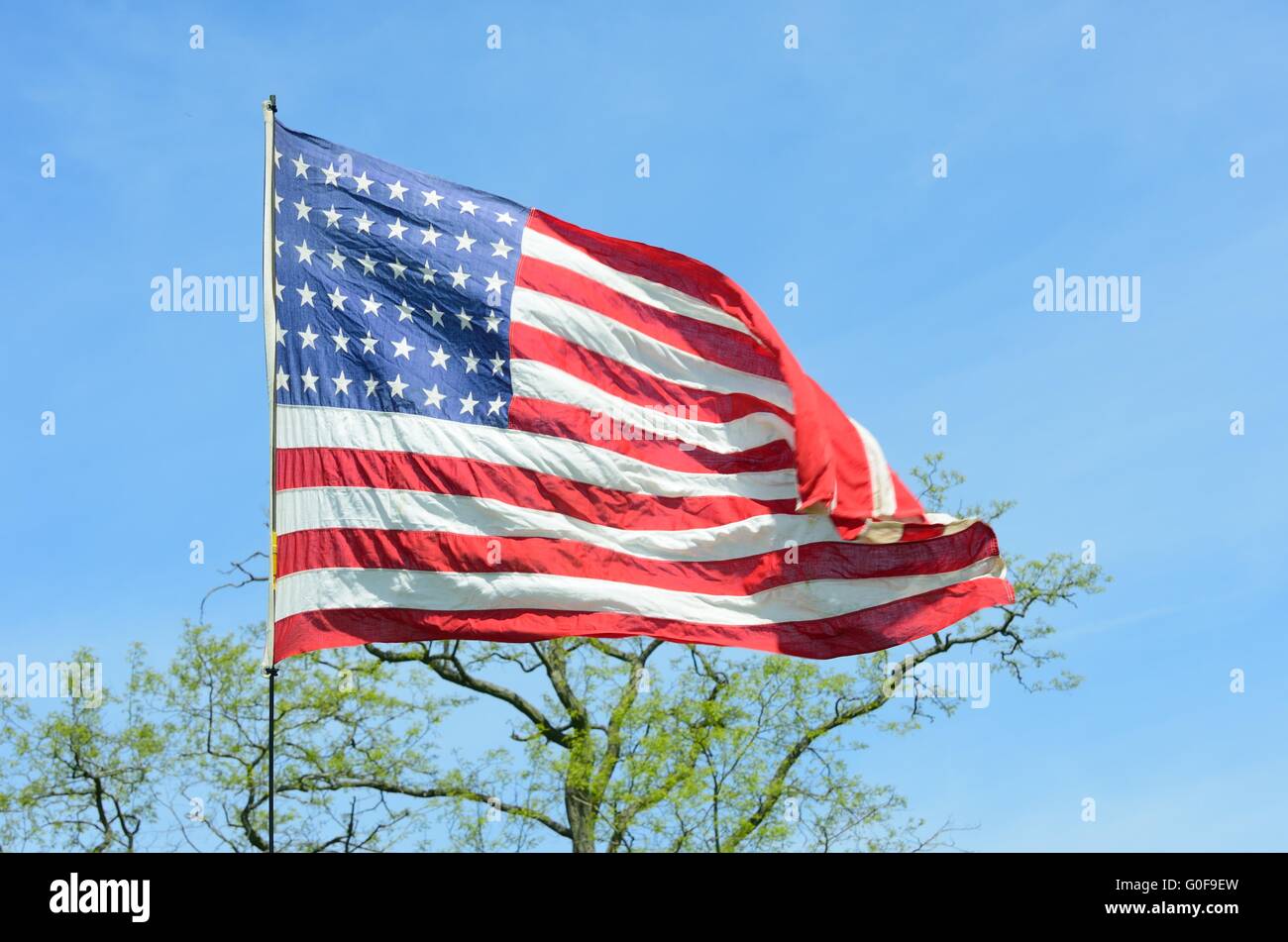 American flag with tree Stock Photo - Alamy