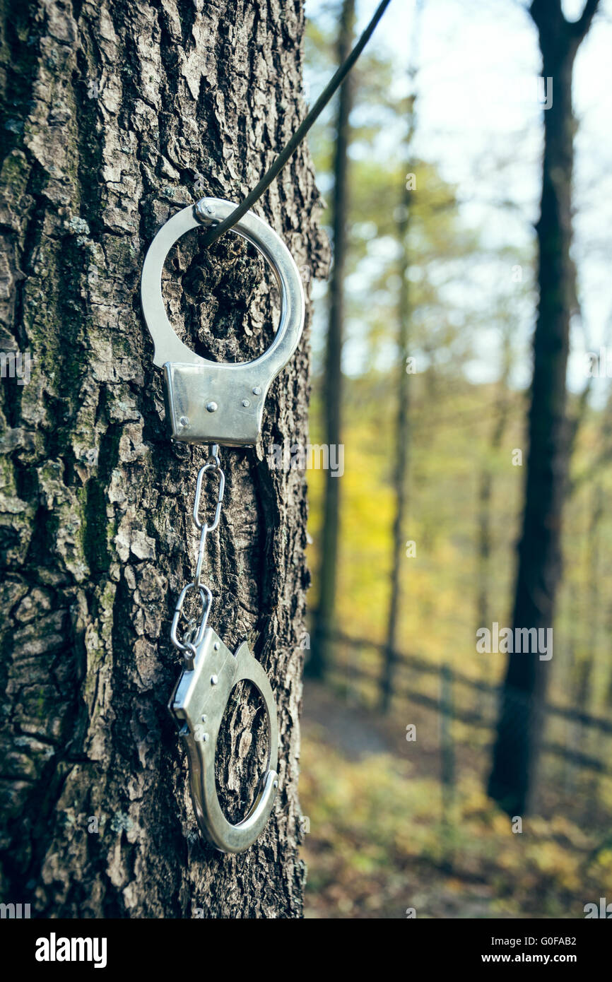 Justice tree hi-res stock photography and images - Alamy