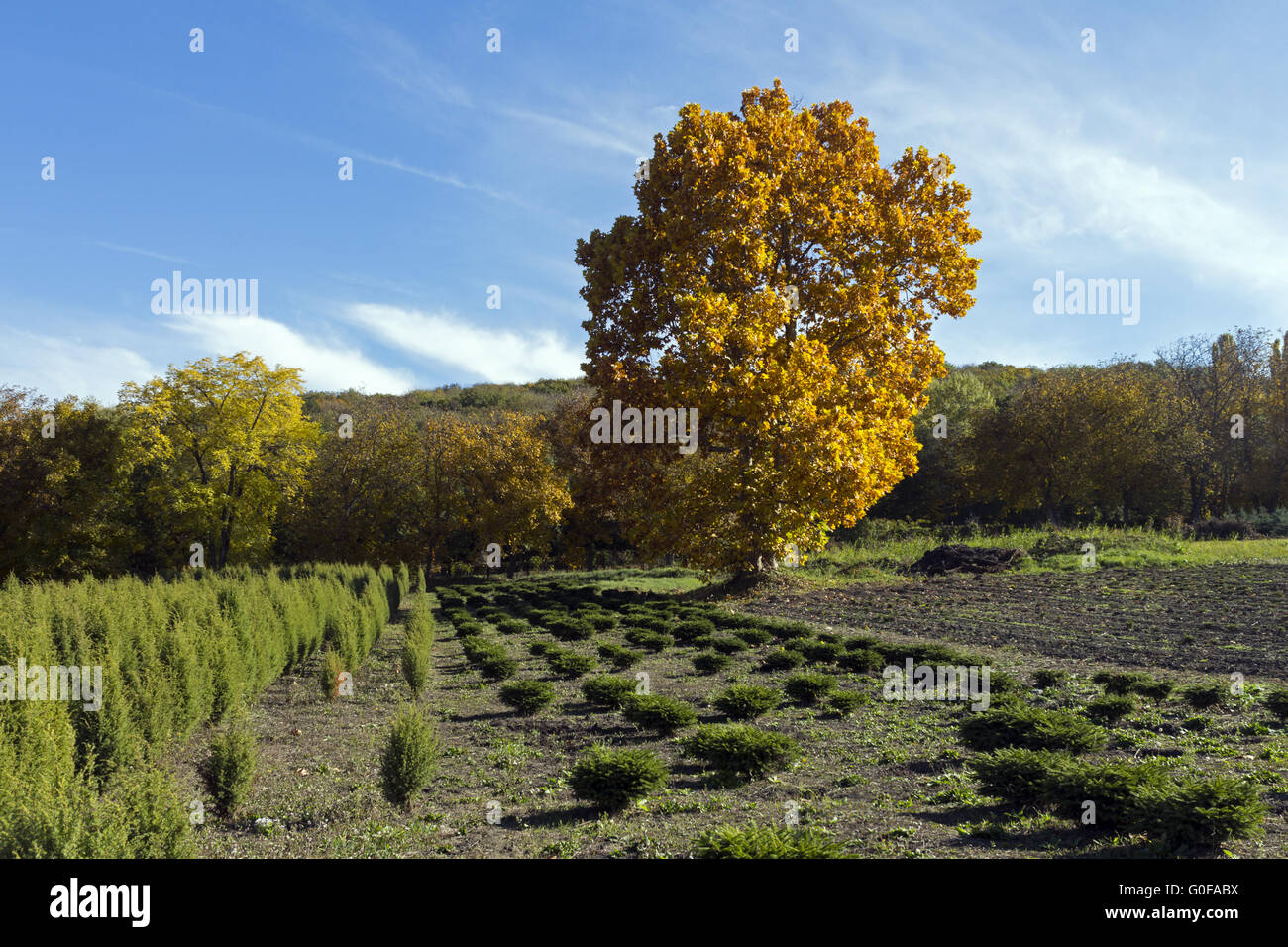 Autumn no people hi-res stock photography and images - Alamy