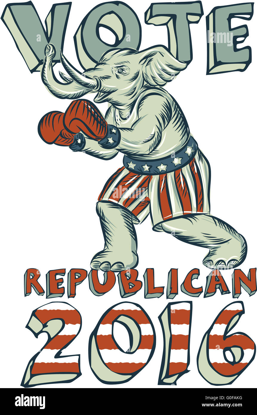 Elephant boxer boxing hi-res stock photography and images - Alamy