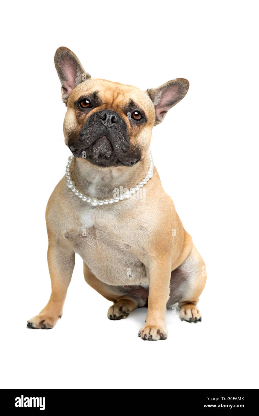 Front view white pearl Cut Out Stock Images & Pictures - Alamy