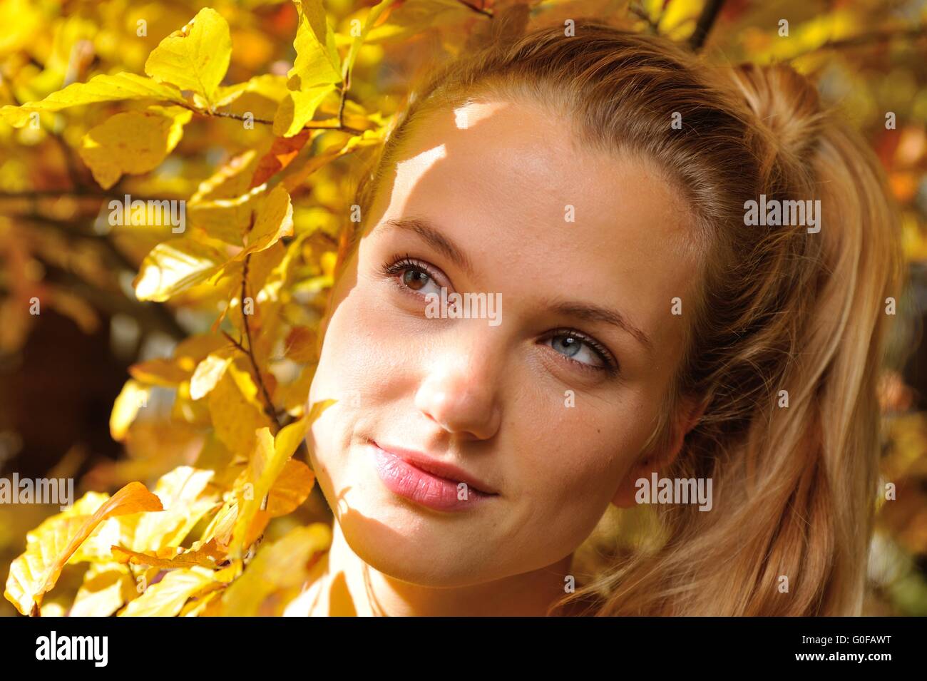 portrait of a young lady in front of autumn leaves Stock Photo - Alamy