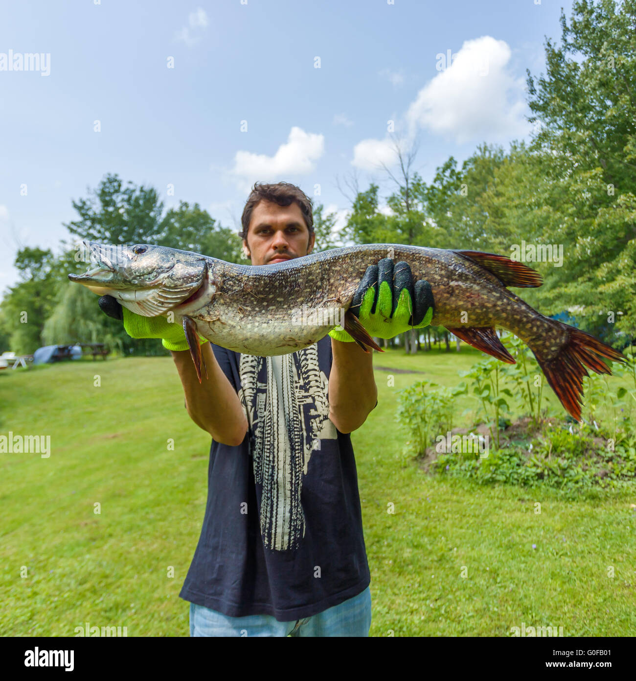 Big pike hi-res stock photography and images - Alamy