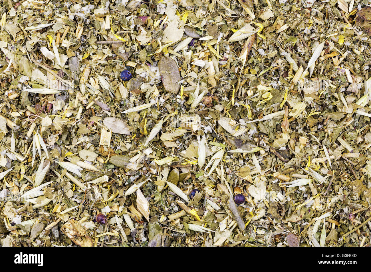 The undergone hi-res stock photography and images - Alamy