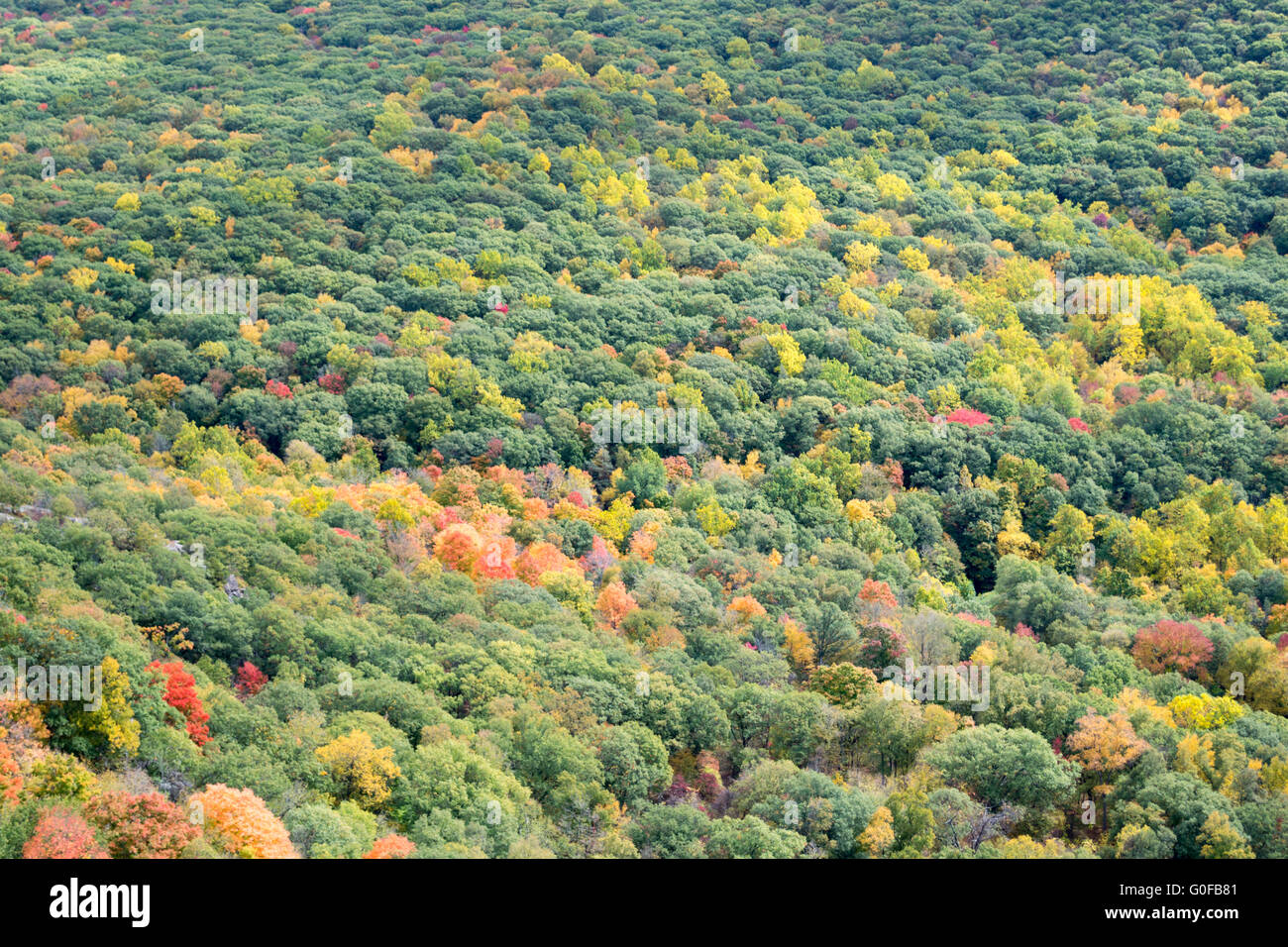 Mountain top trees hi-res stock photography and images - Alamy