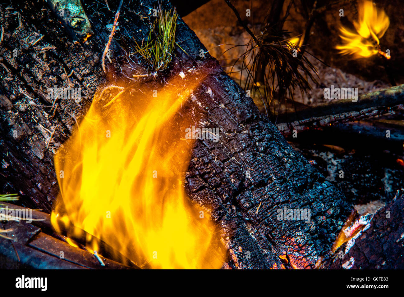 camp fire flames burning at night after hike Stock Photo - Alamy