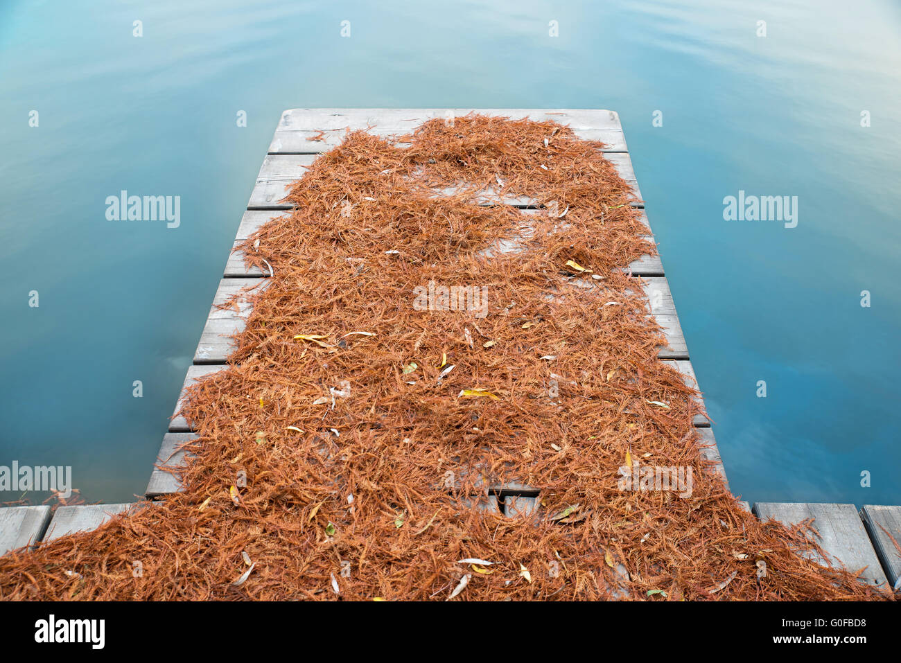 Serene balance hi-res stock photography and images - Alamy