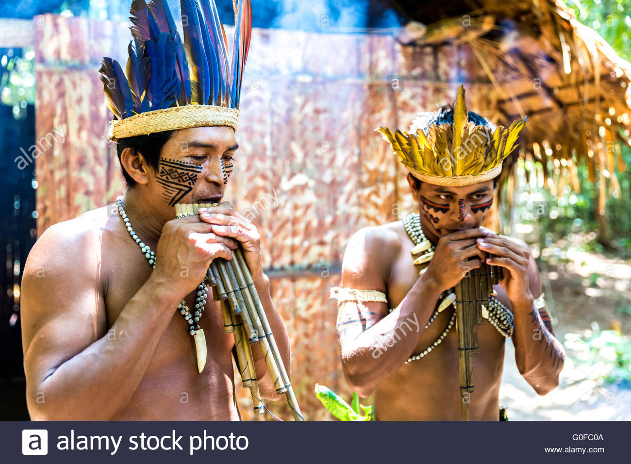 Kamayura Stock Photos & Kamayura Stock Images - Alamy