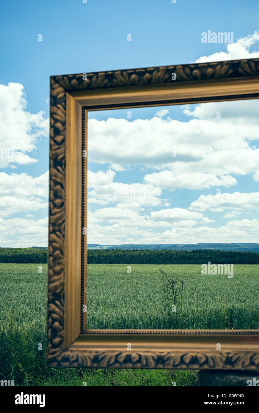 Picture Frames in nature II Stock Photo - Alamy