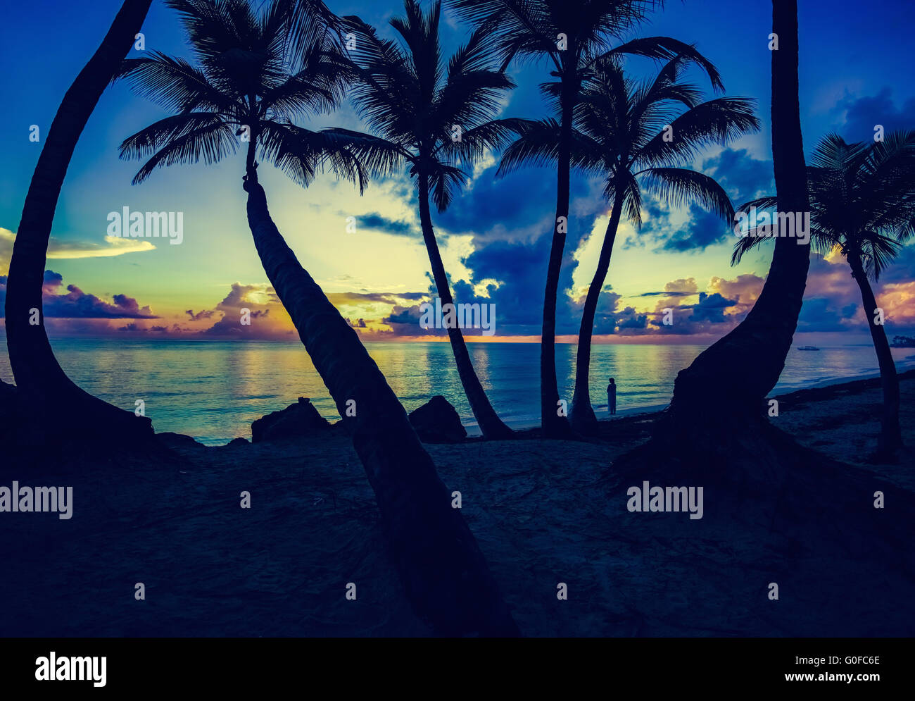 sunset silhouette of palm trees Stock Photo - Alamy sunset silhouette of palm trees Stock Photo - Alamy