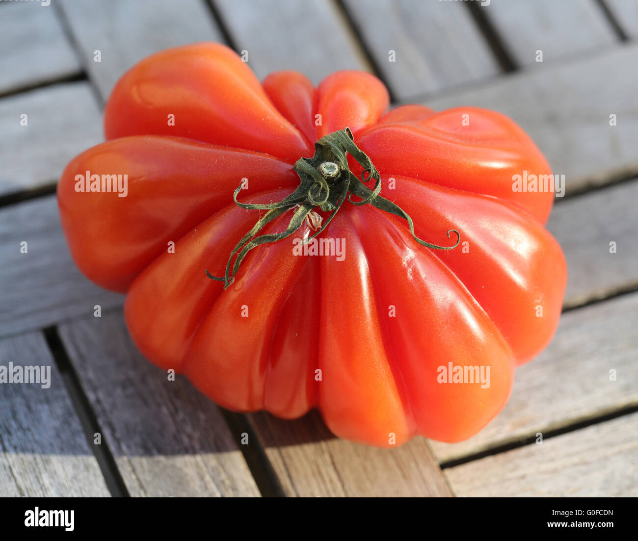 Bulls Heart Tomato Stock Photo - Alamy