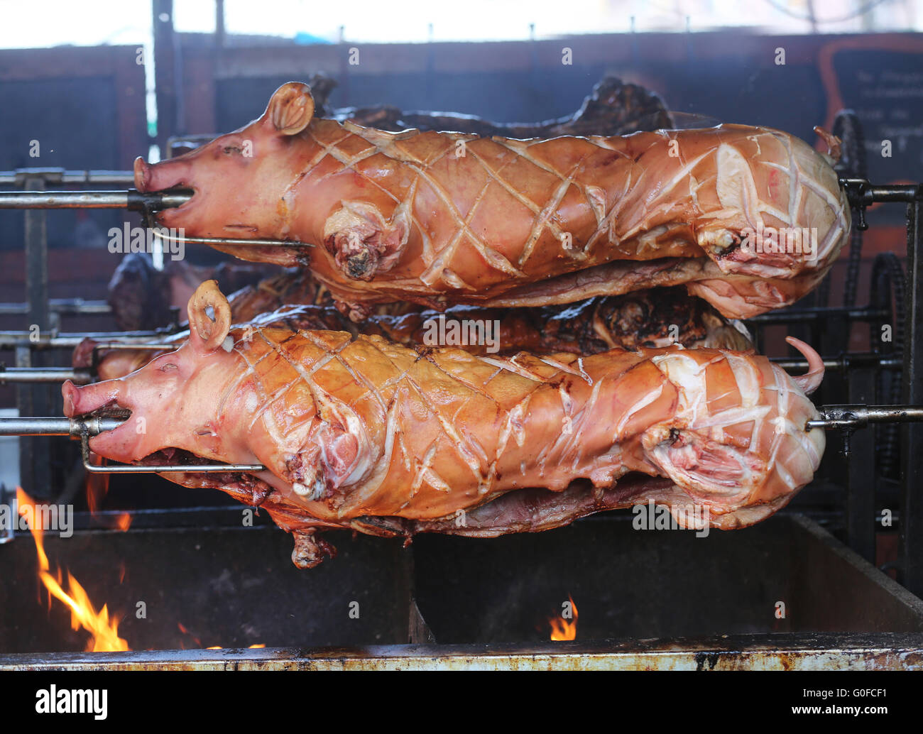 Suckling pig hi-res stock photography and images - Alamy