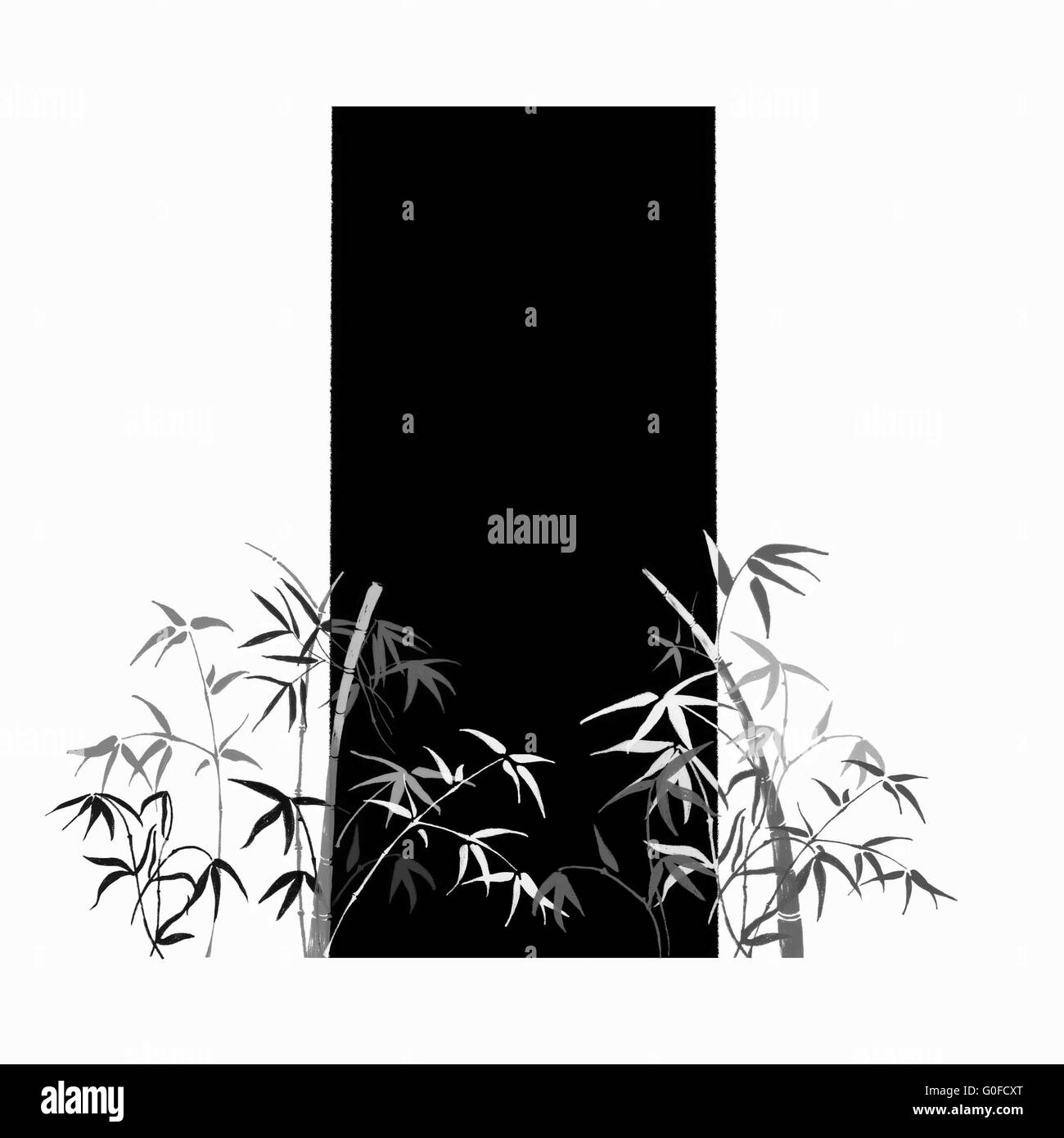 Bamboo cane plants Cut Out Stock Images & Pictures - Alamy