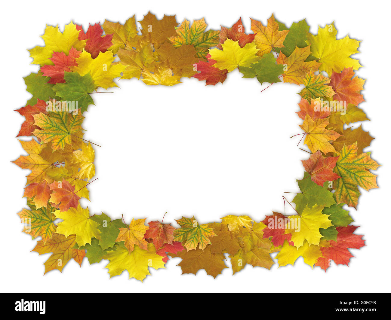 Leaves frame foliage framework fall hi-res stock photography and images ...