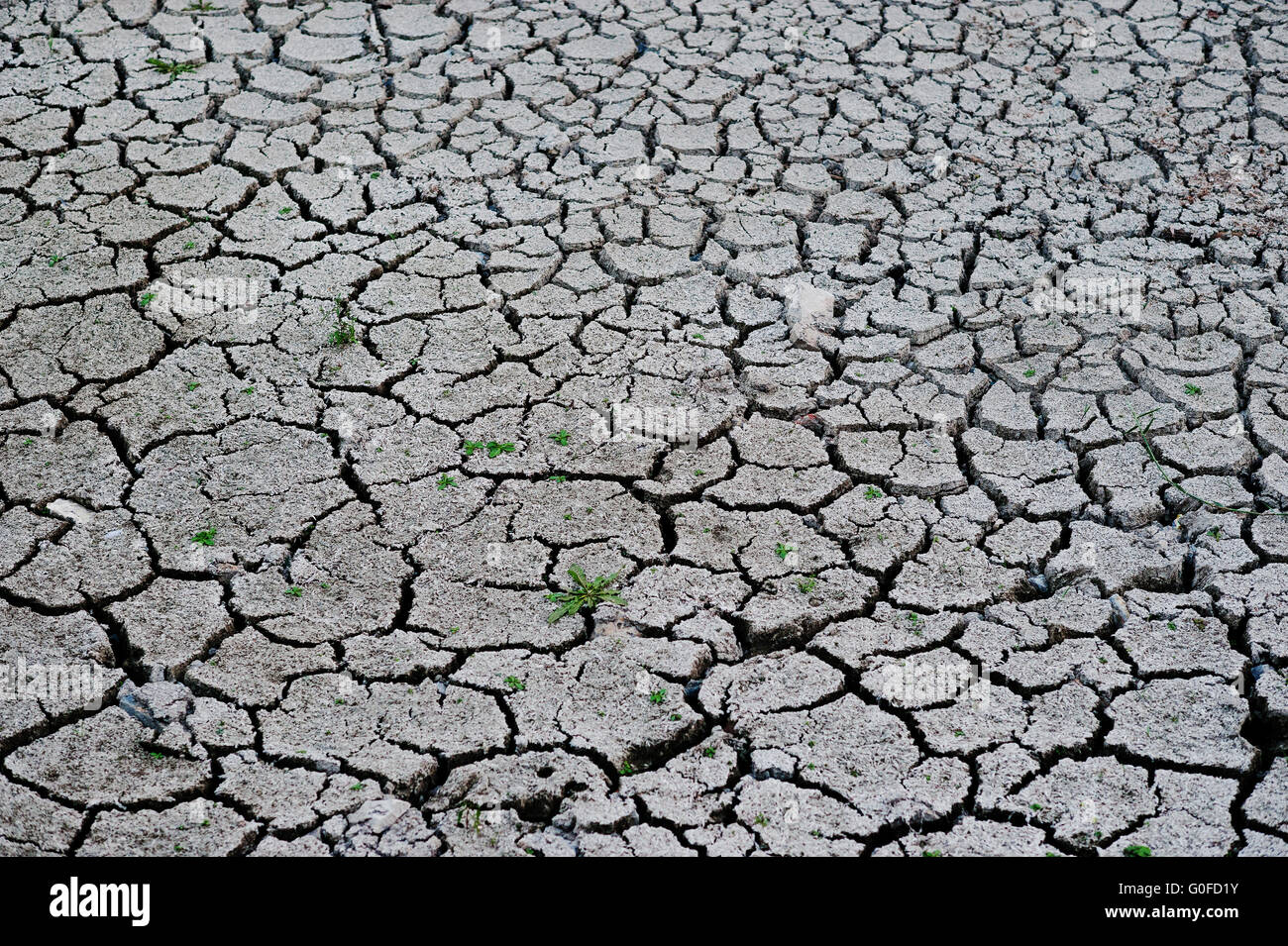 Salinity soil hi-res stock photography and images - Alamy