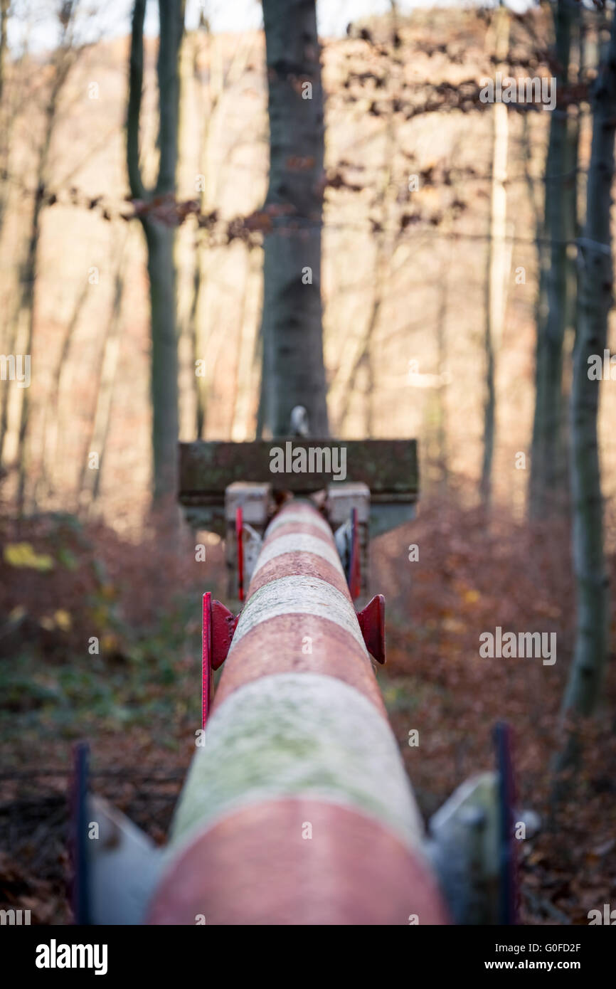 closed barrier in forest Stock Photo - Alamy