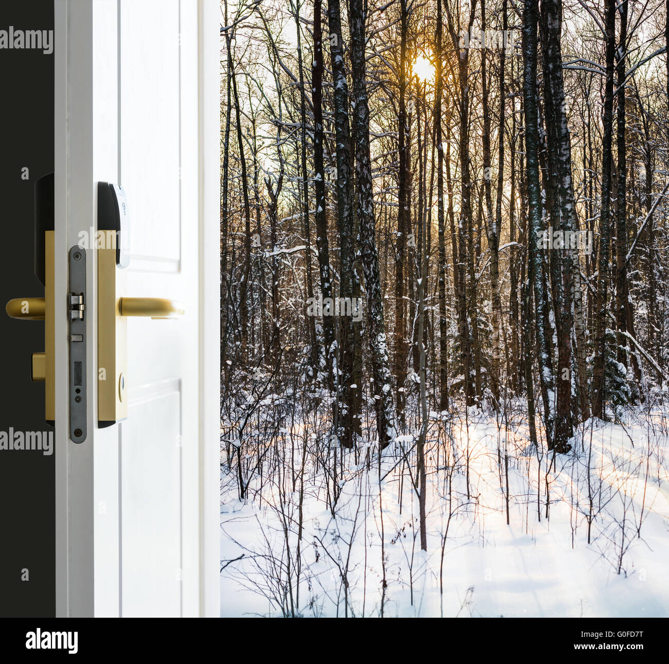 Freeze view hi-res stock photography and images - Alamy