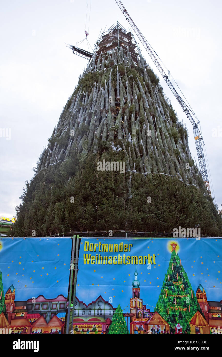 Aufbau baum hi-res stock photography and images - Alamy