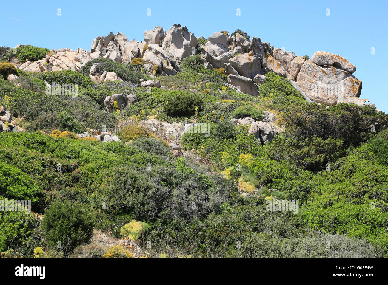 Washed granite boulders and typical coastal vegetation in Capo Testa on ...