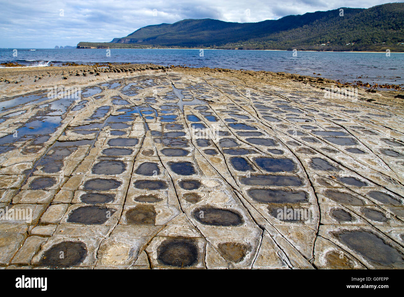 Eaglehawk tasmania hi-res stock photography and images - Alamy