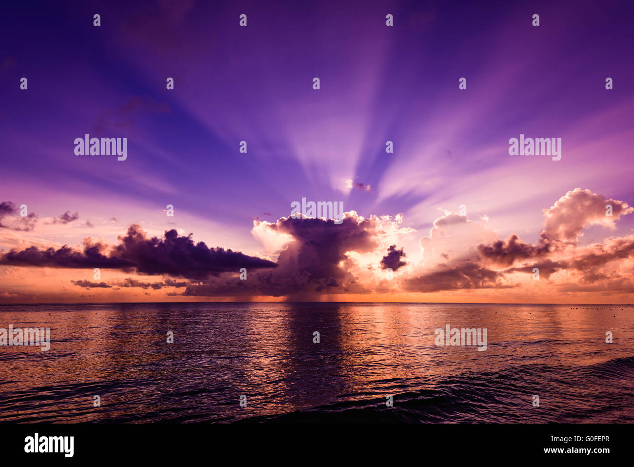 sunset silhouette of palm trees Stock Photo - Alamy