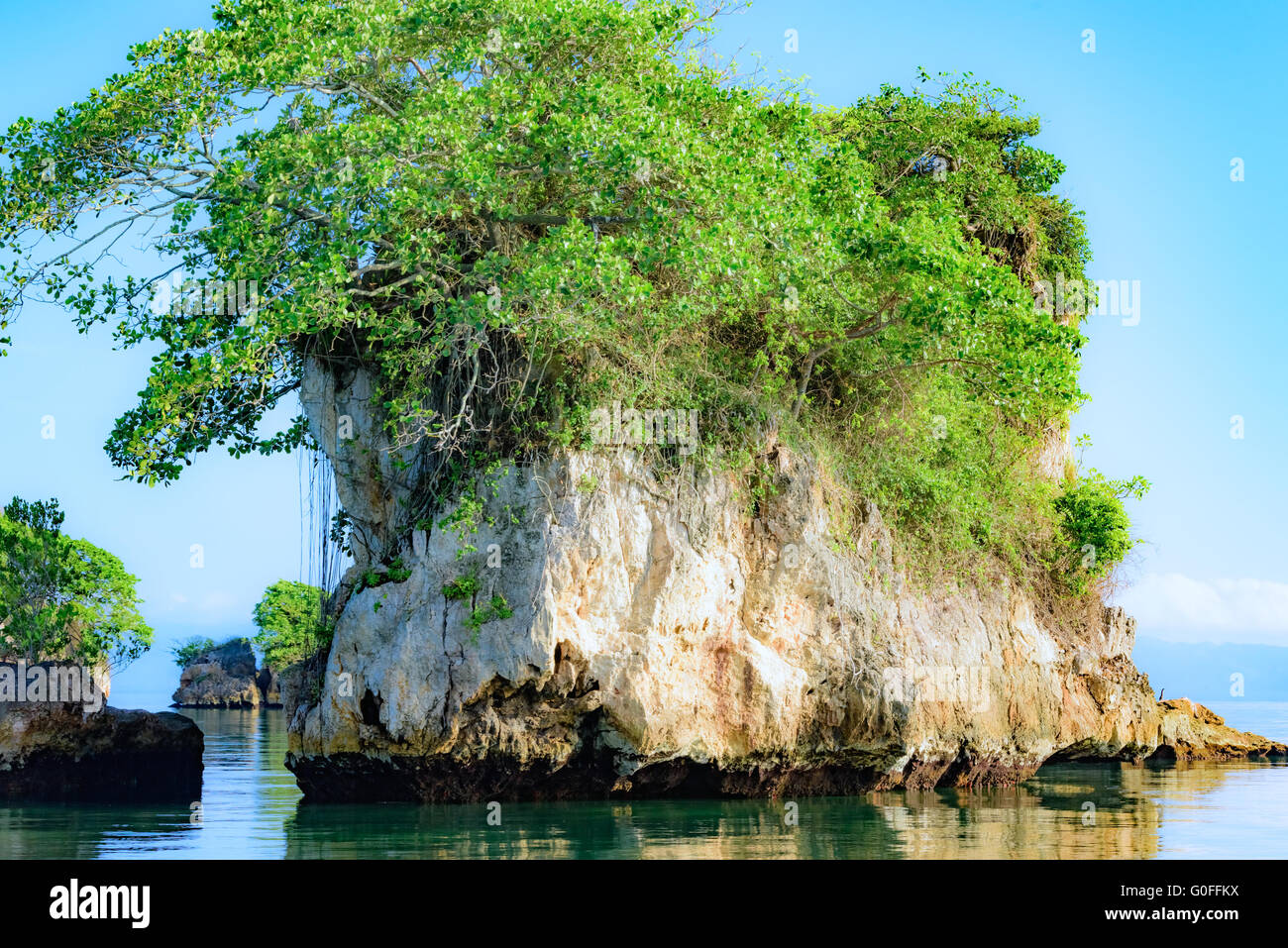 the island green trees in the ocean blue water Stock Photo - Alamy