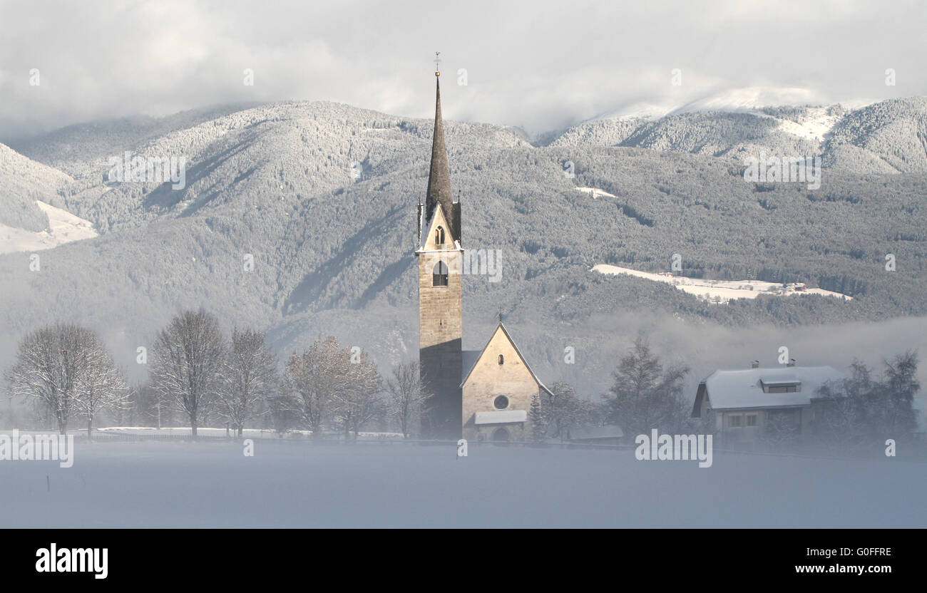 Hibernation period hi-res stock photography and images - Alamy